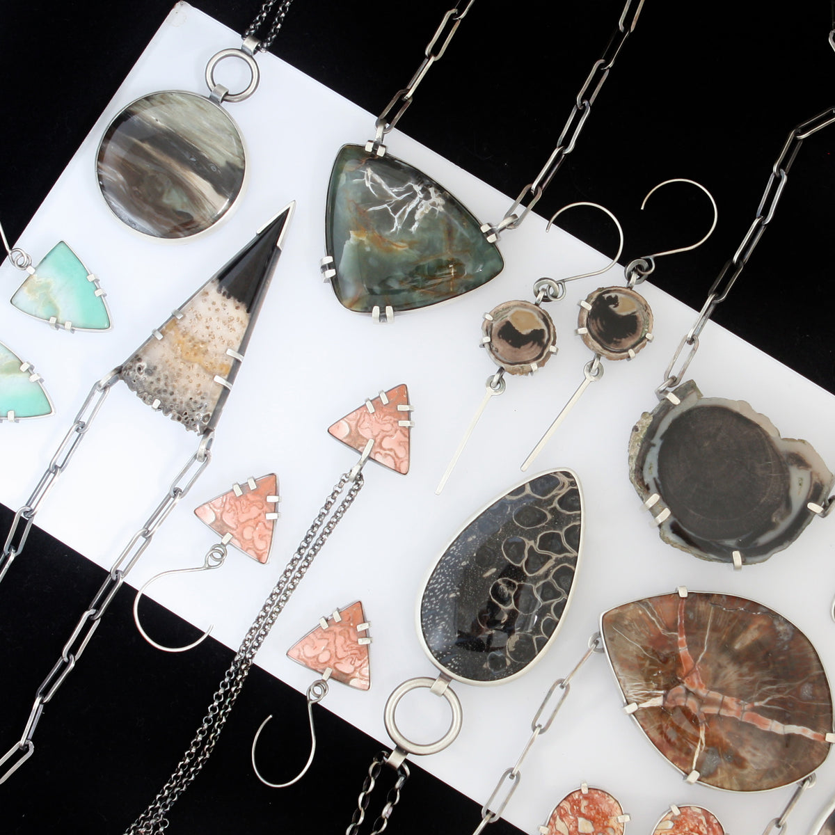 Petrified vs. Fossilized - What's The Dif? – Powers