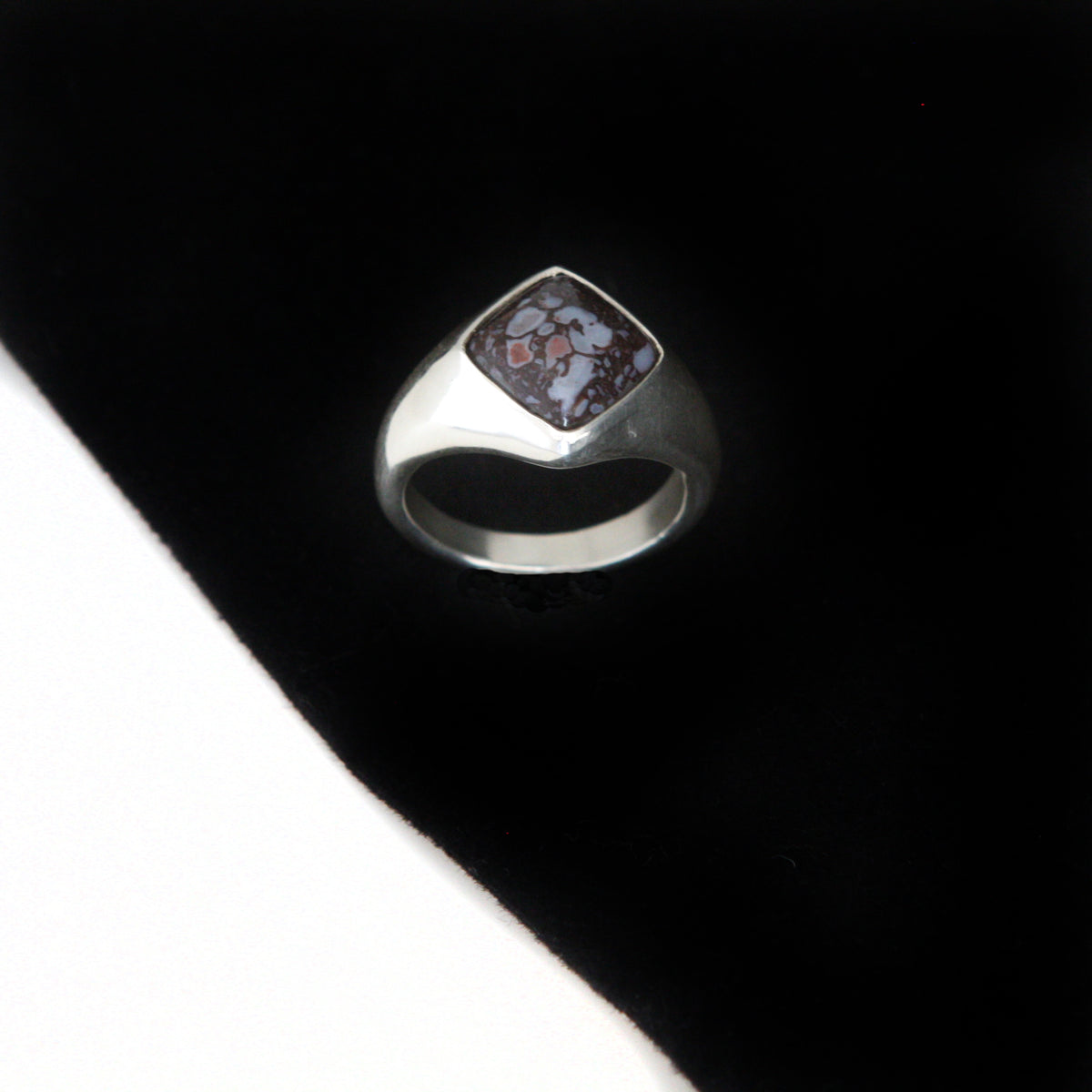 Dinosaur Bone Signet Ring - Any Size - Gender Neutral – Powers