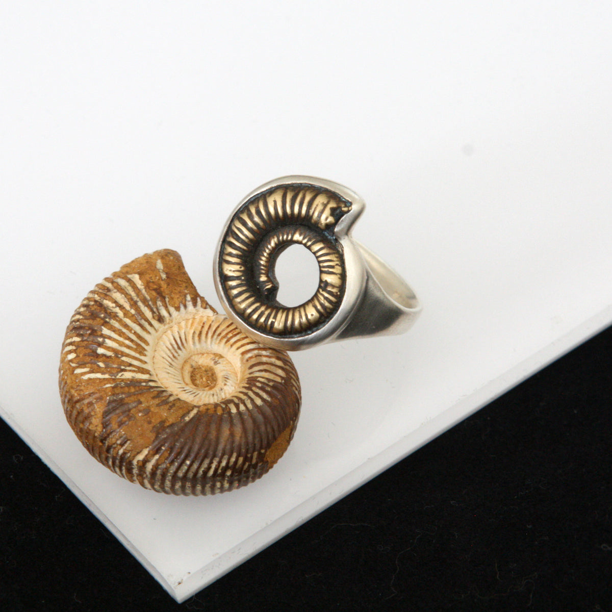 Siphon Signet Ring – Powers